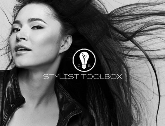 Case Study - Stylist Toolbox | Teravision Technologies