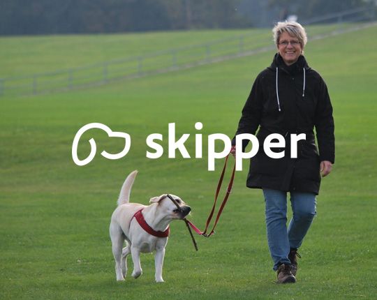Case Study - Skipper | Teravision Technologies
